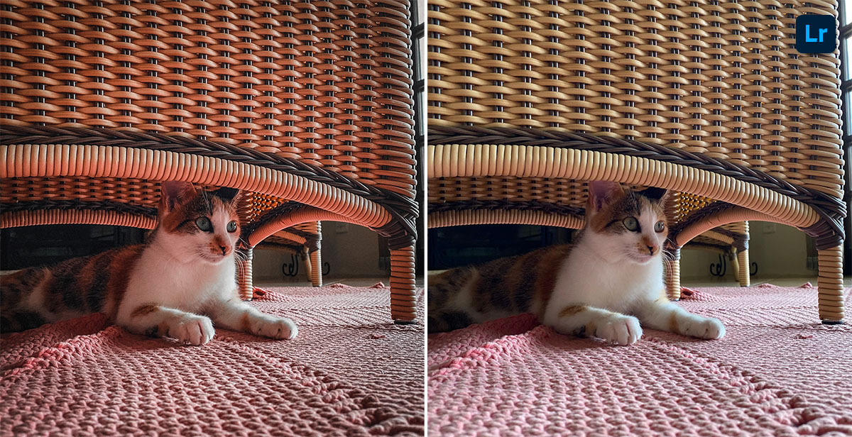 Lua | Remix | Photoshop Lightroom