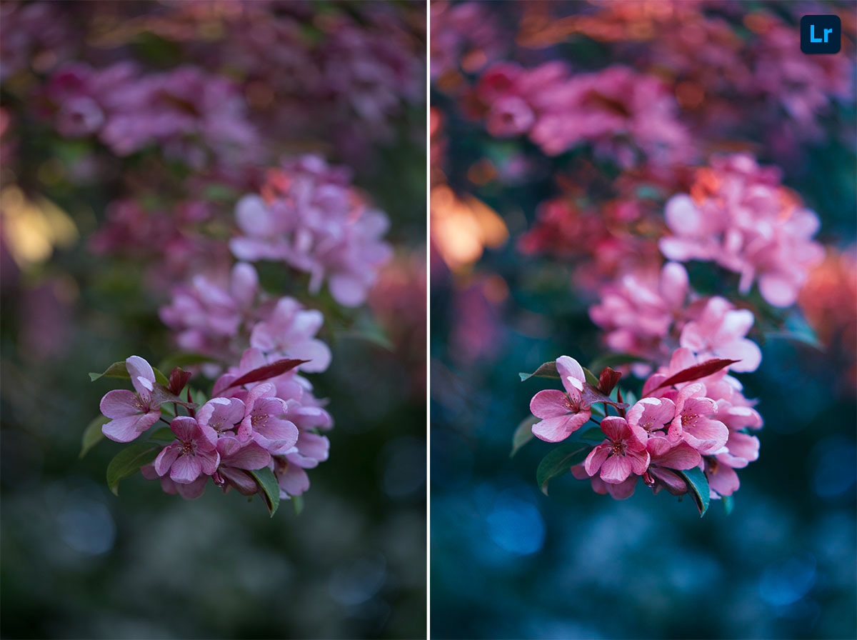 Bloom | Edit | Photoshop Lightroom