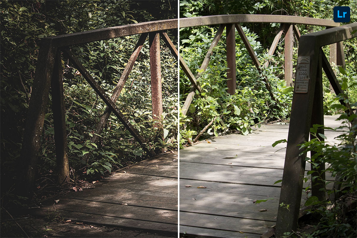 Bridge | Edit | Photoshop Lightroom