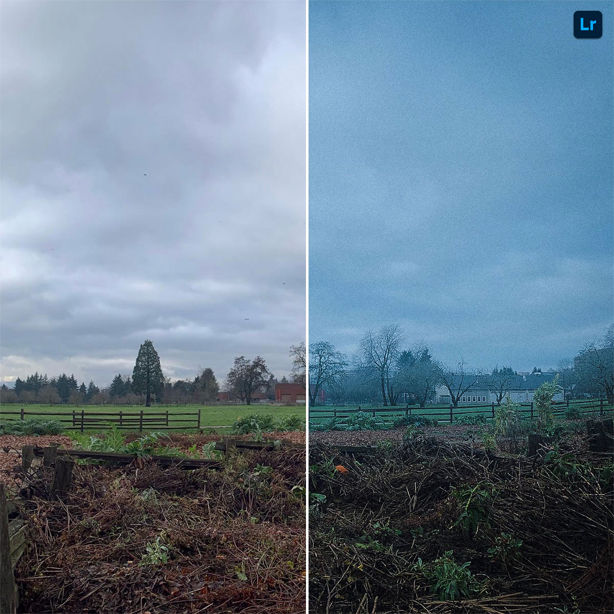 EMPTY MY MIND | Edit | Photoshop Lightroom