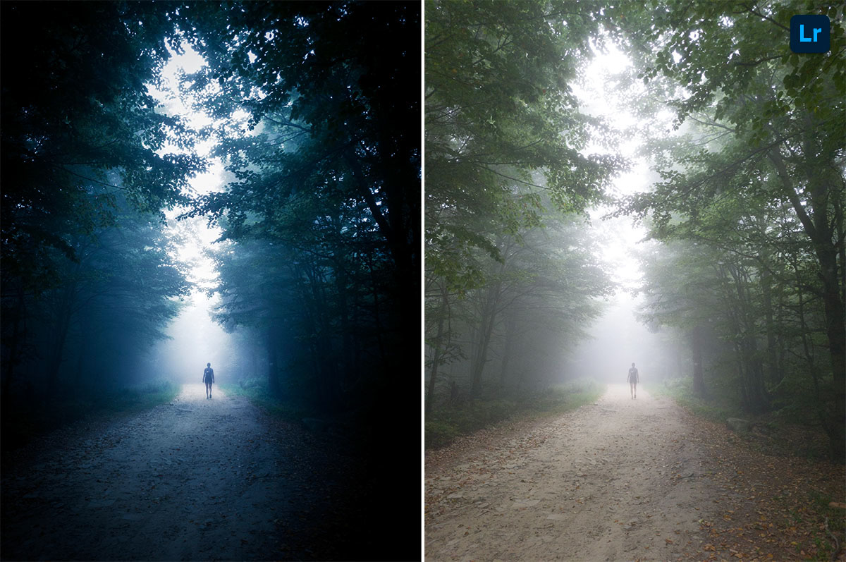 Misty. | Remix | Photoshop Lightroom