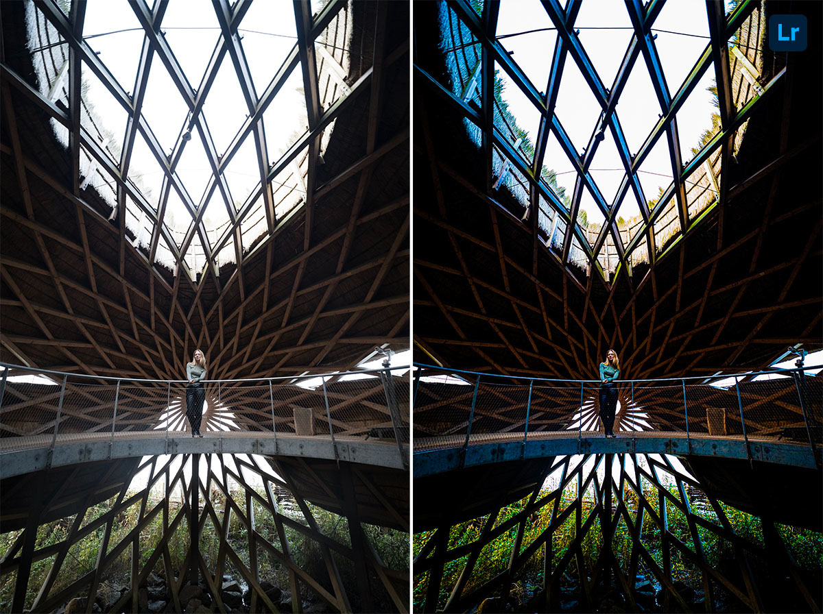 leading into the subject | Remix | Photoshop Lightroom