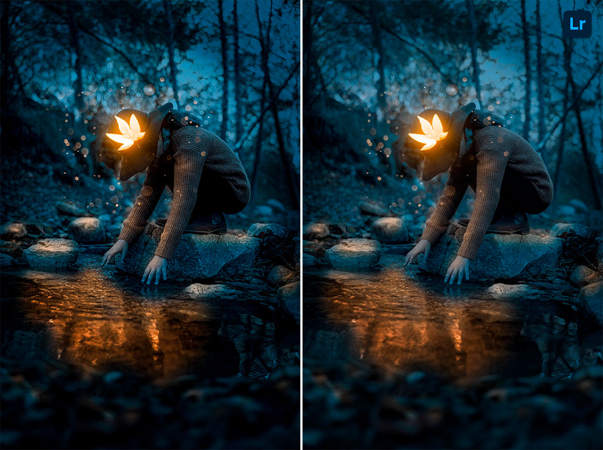 Lightning Bug | Edit | Photoshop Lightroom