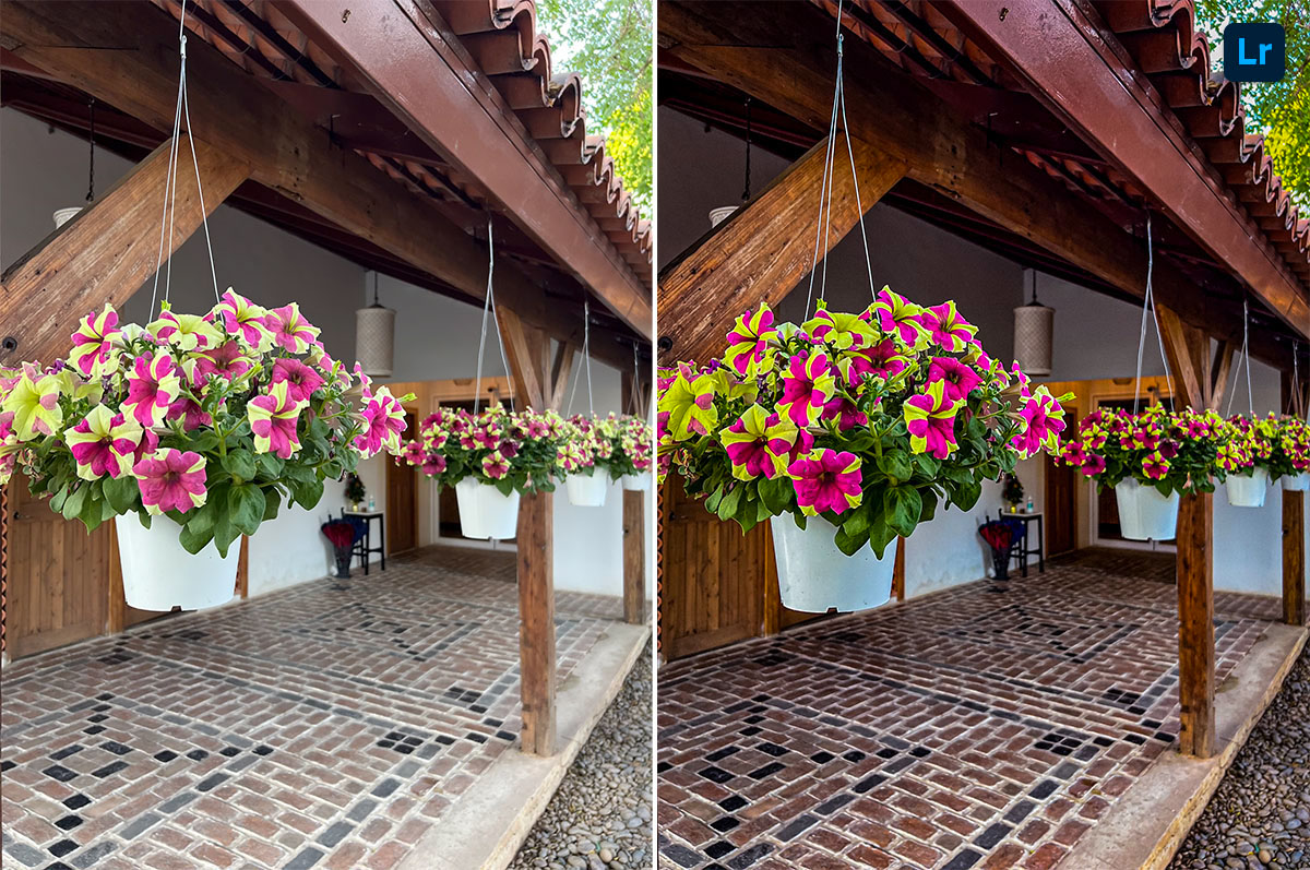 Flowers on the walkway | Edit | Photoshop Lightroom