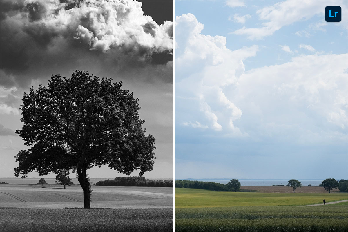 walk | Edit | Photoshop Lightroom