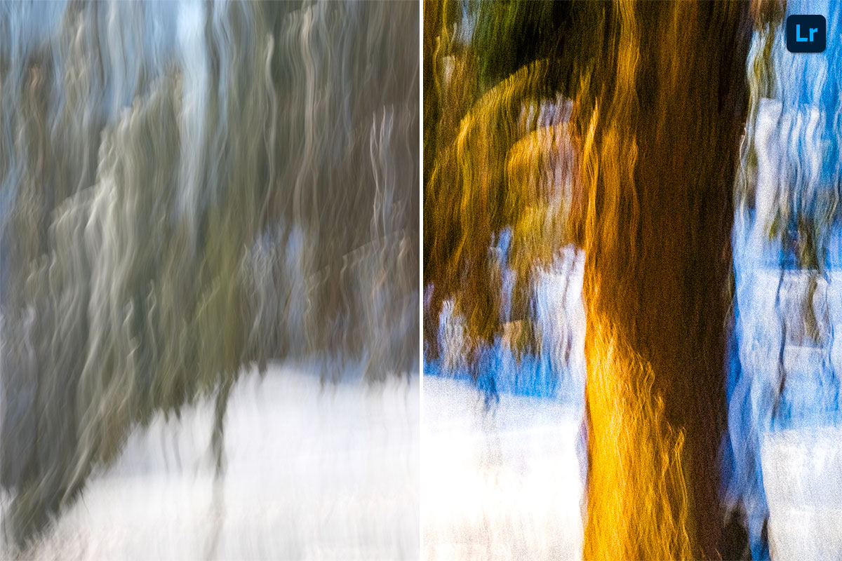 ICM Spruce Tree | Edit | Photoshop Lightroom