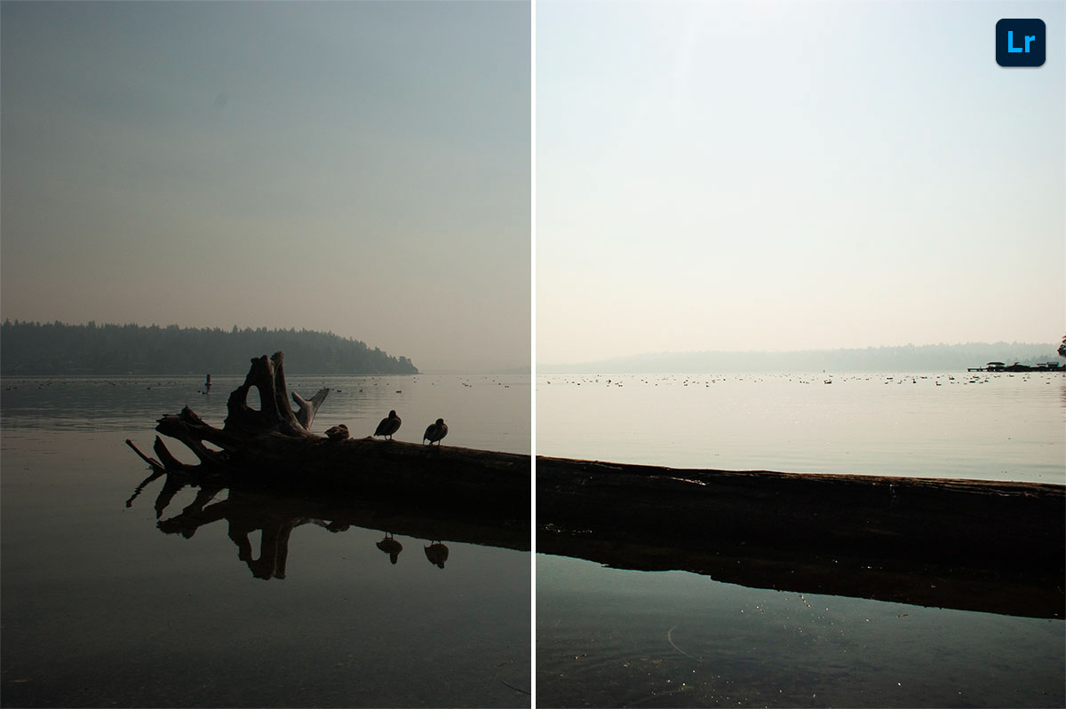 Still | Edit | Photoshop Lightroom