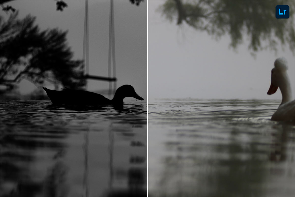 Good morning. | Edit | Photoshop Lightroom