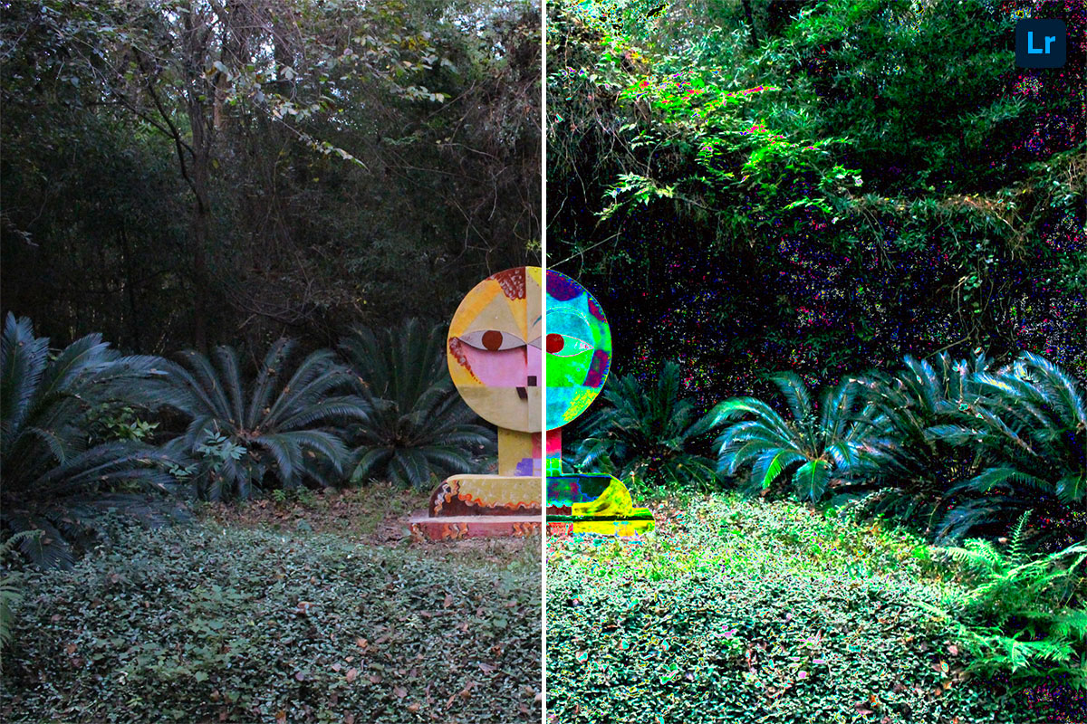 Guardian of the Grove | Edit | Photoshop Lightroom