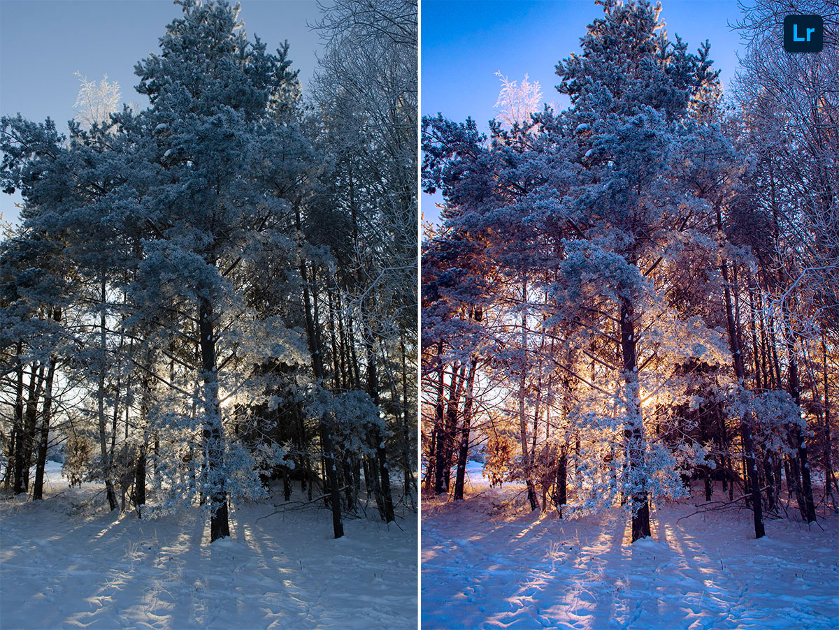 Winter sun | Edit | Photoshop Lightroom