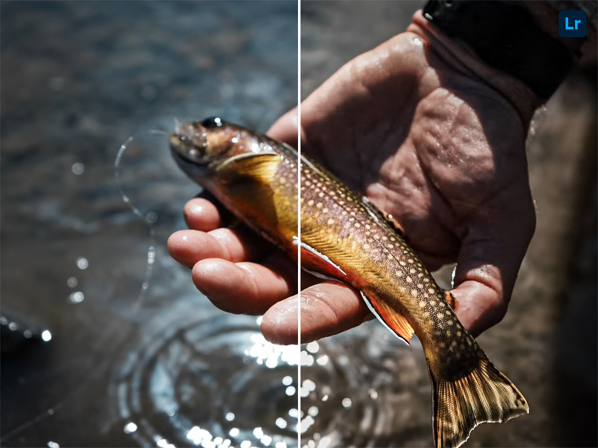 LAKE CATCH | Edit | Photoshop Lightroom