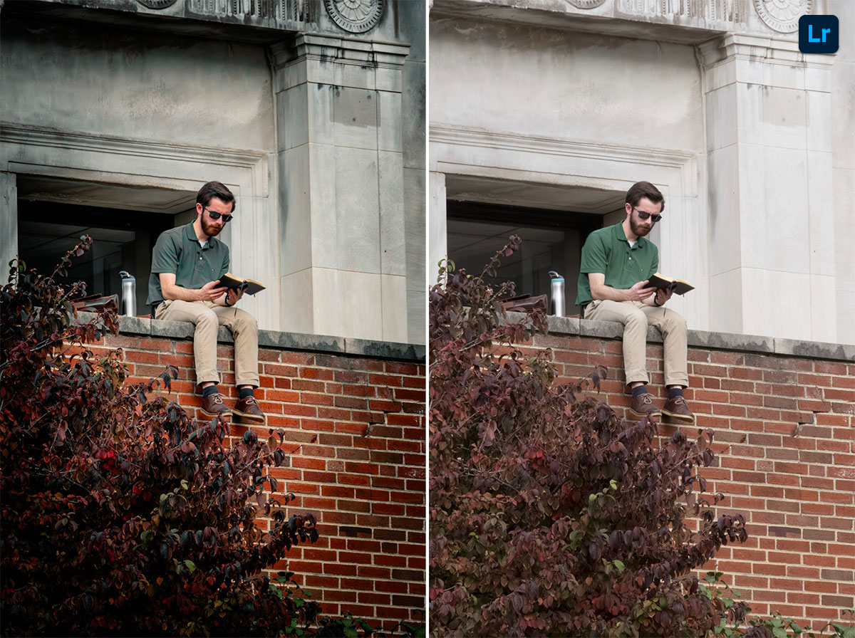 Wall Of Knowledge | Edit | Photoshop Lightroom