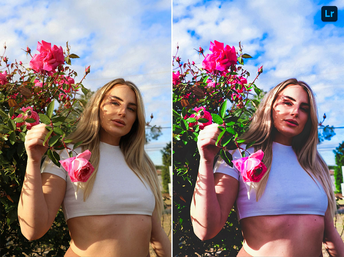 Rose | Remix | Photoshop Lightroom