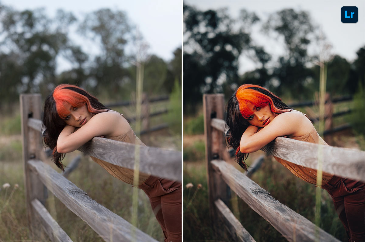 Fence | Remix | Photoshop Lightroom Fence | Remix | Photoshop Lightroom