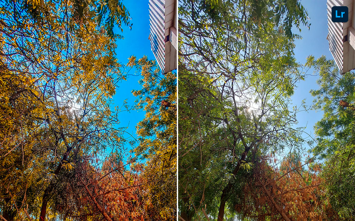 The Sun | Edit | Photoshop Lightroom