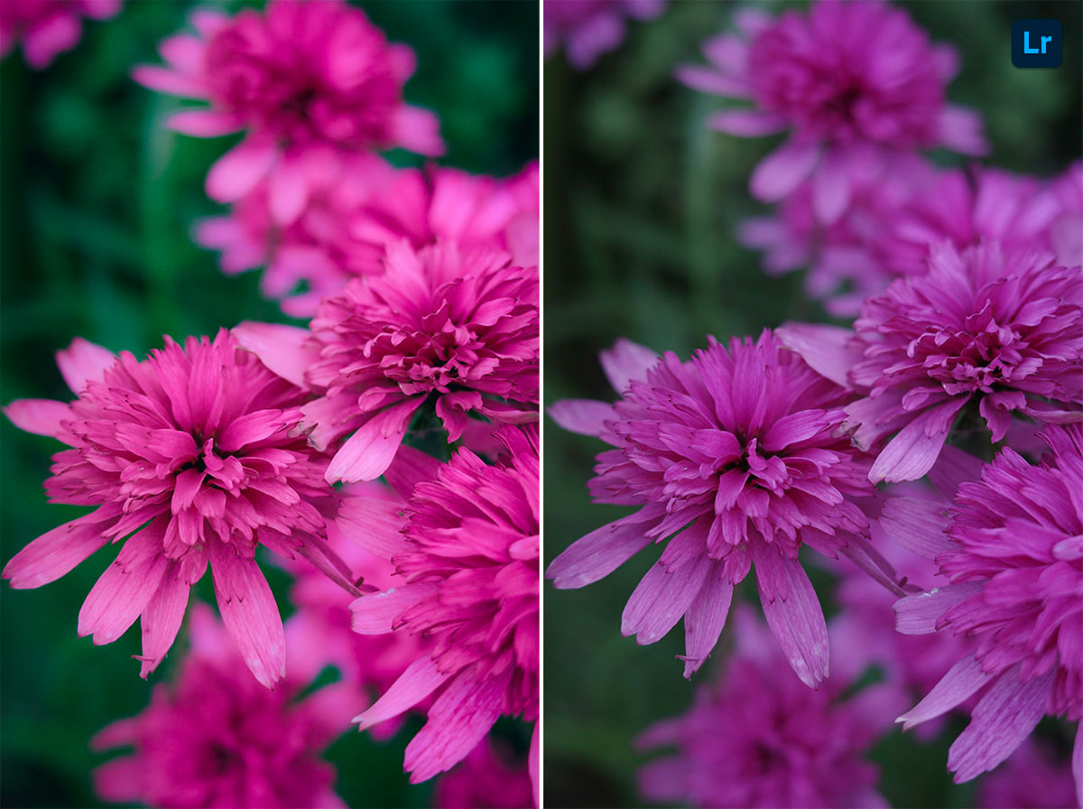 Pink summer | Edit | Photoshop Lightroom