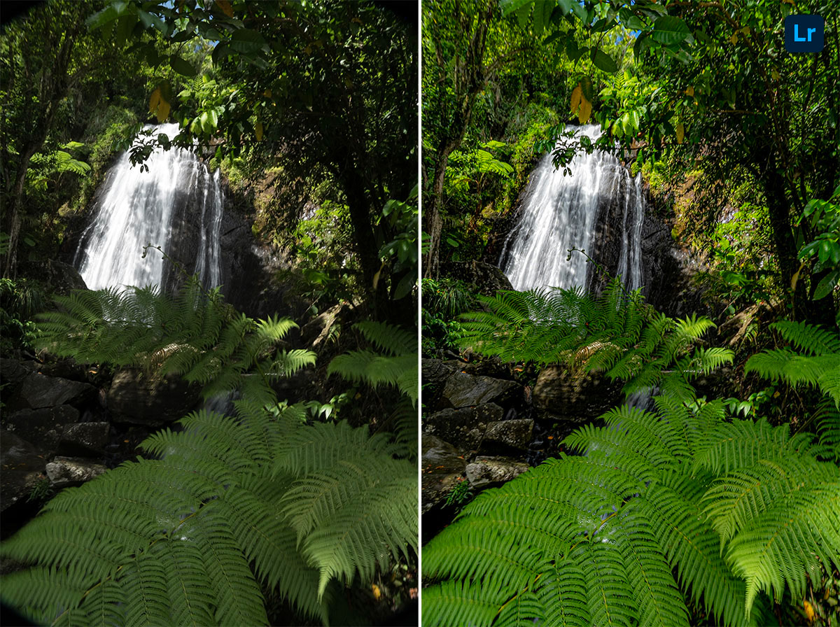 Natural beauty | Edit | Photoshop Lightroom