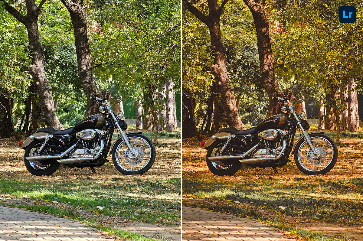 Nature motorcycle | Edit | Photoshop Lightroom