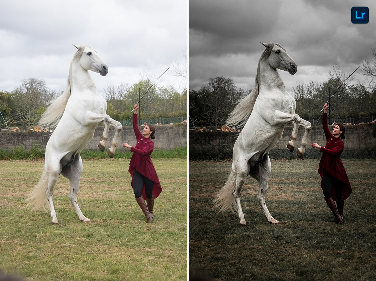 Doma | Edit | Photoshop Lightroom