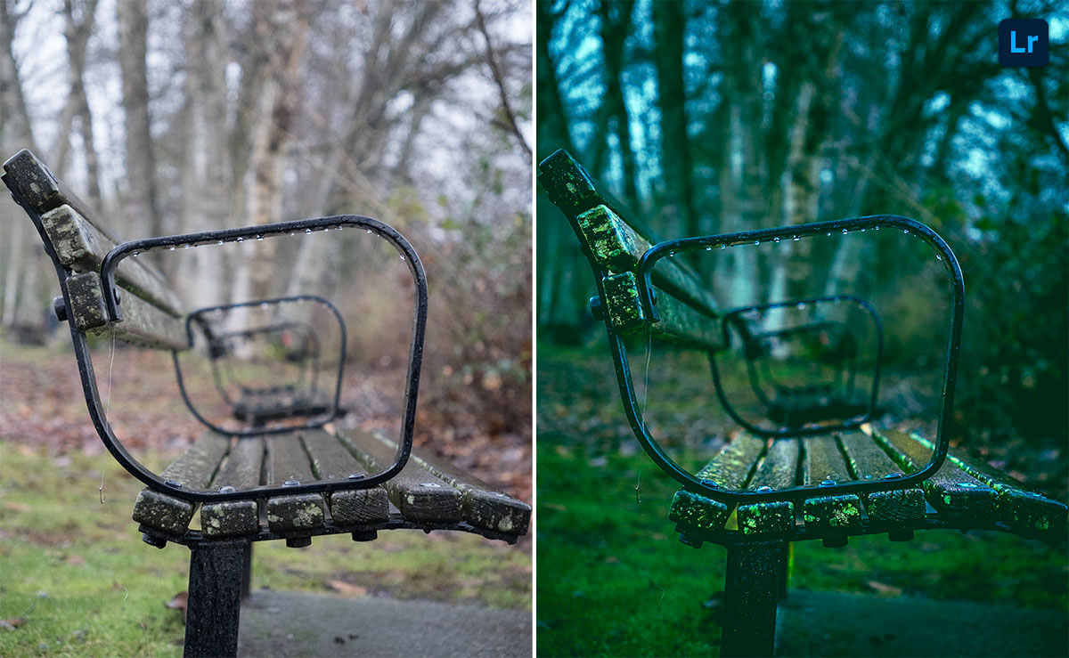 Bench in the rain | Edit | Photoshop Lightroom