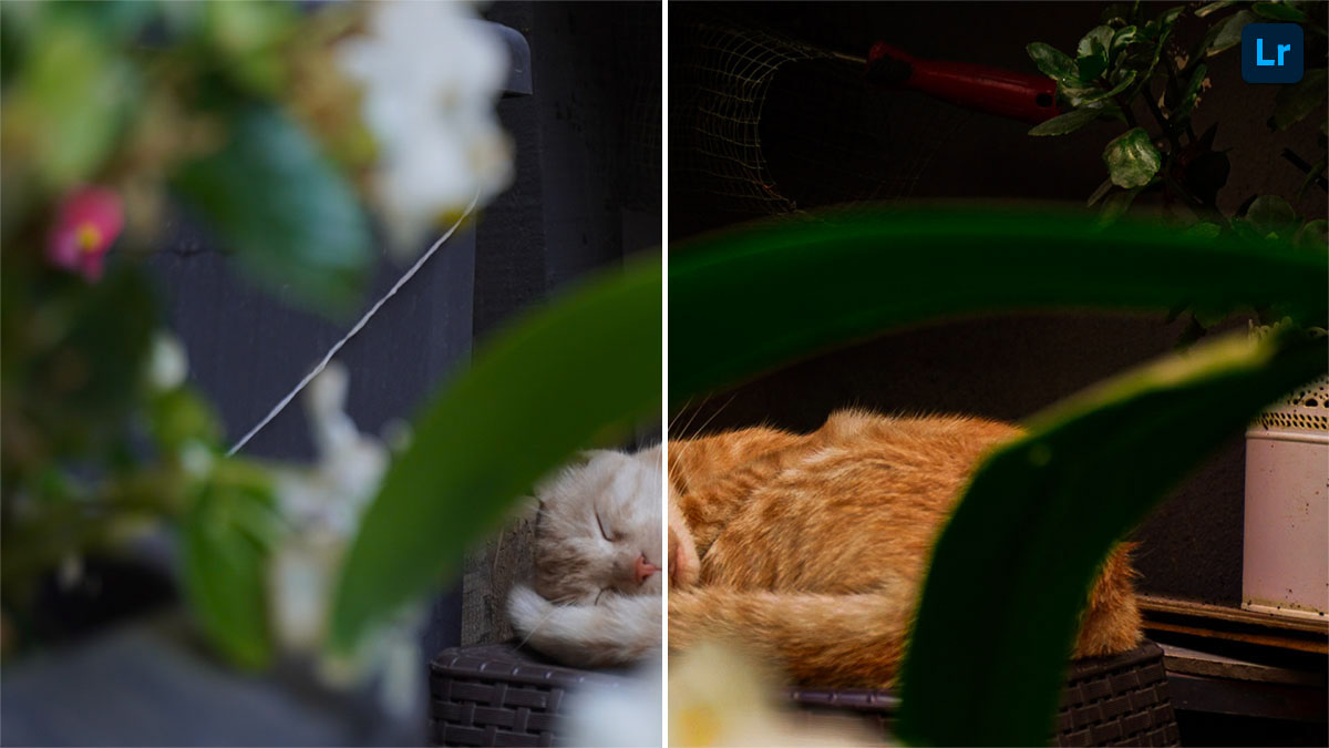 Cozy temperature | Edit | Photoshop Lightroom