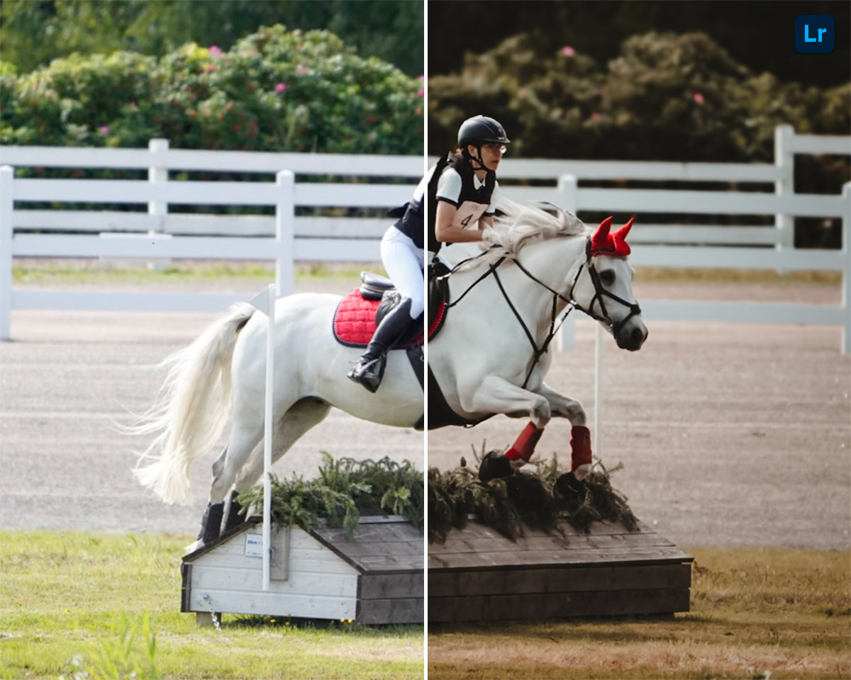 Equestrian cross-country | Edit | Photoshop Lightroom
