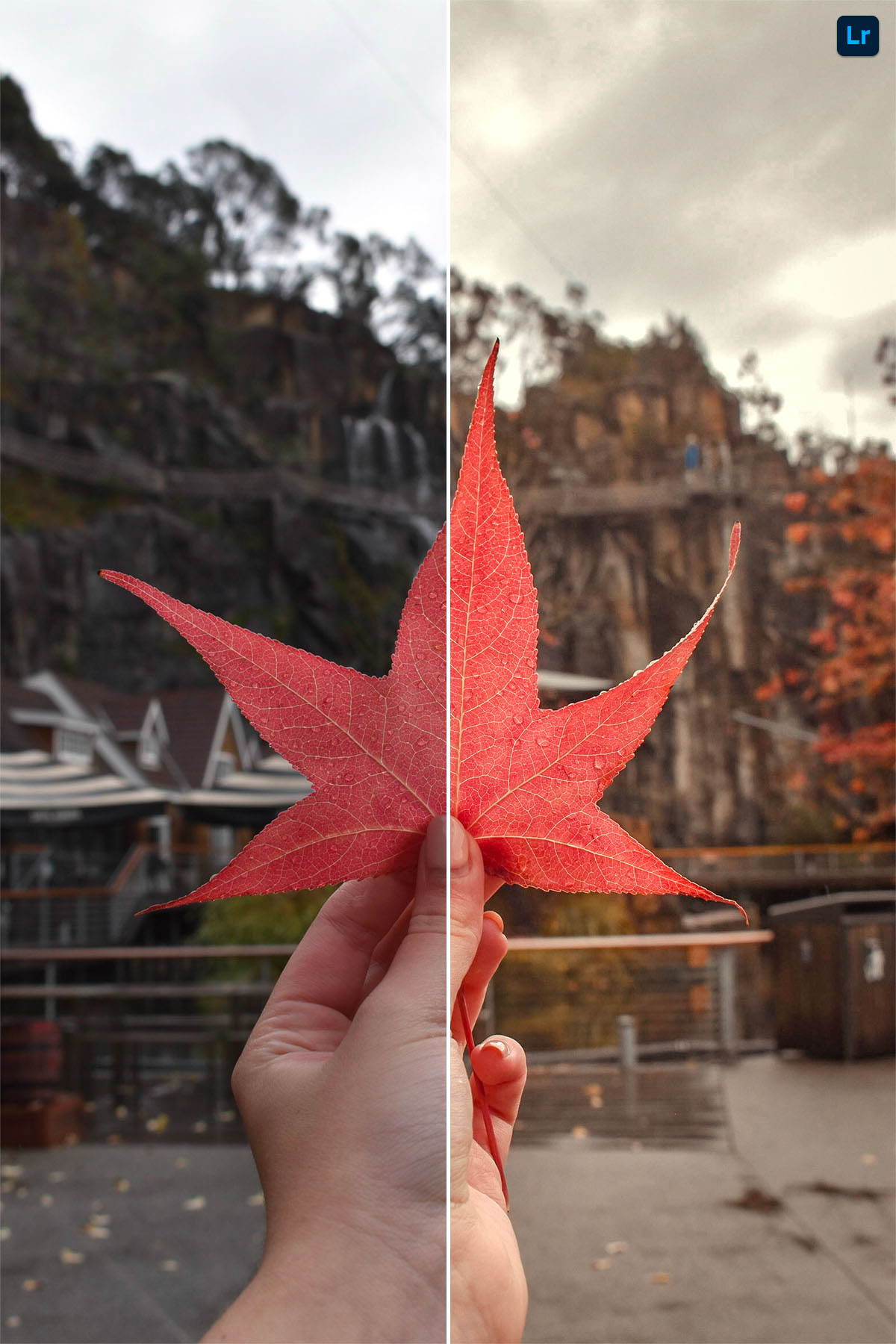 autumn | Edit | Photoshop Lightroom