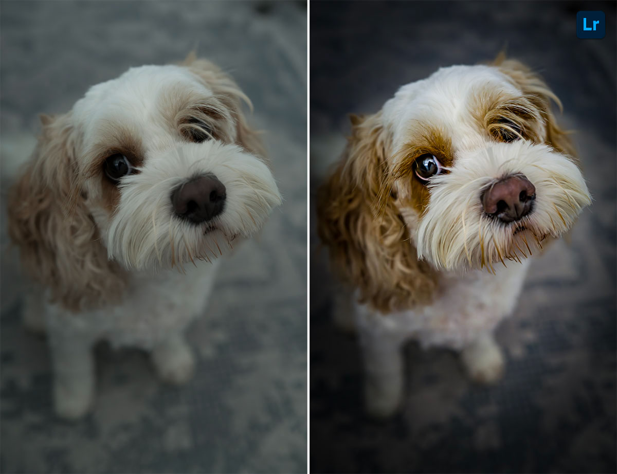 Ronnie | Edit | Photoshop Lightroom