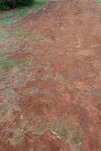 Rustic Pathway Texture :: Behance