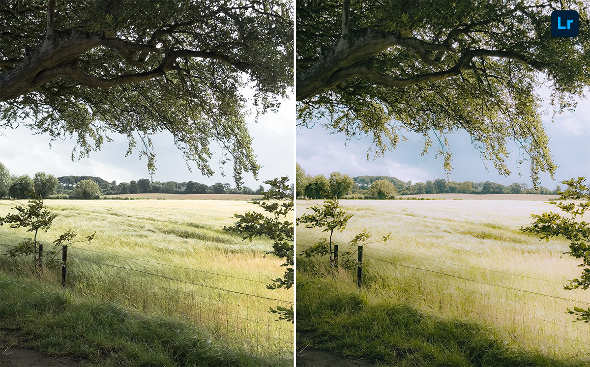 Dreamy morning | Edit | Photoshop Lightroom
