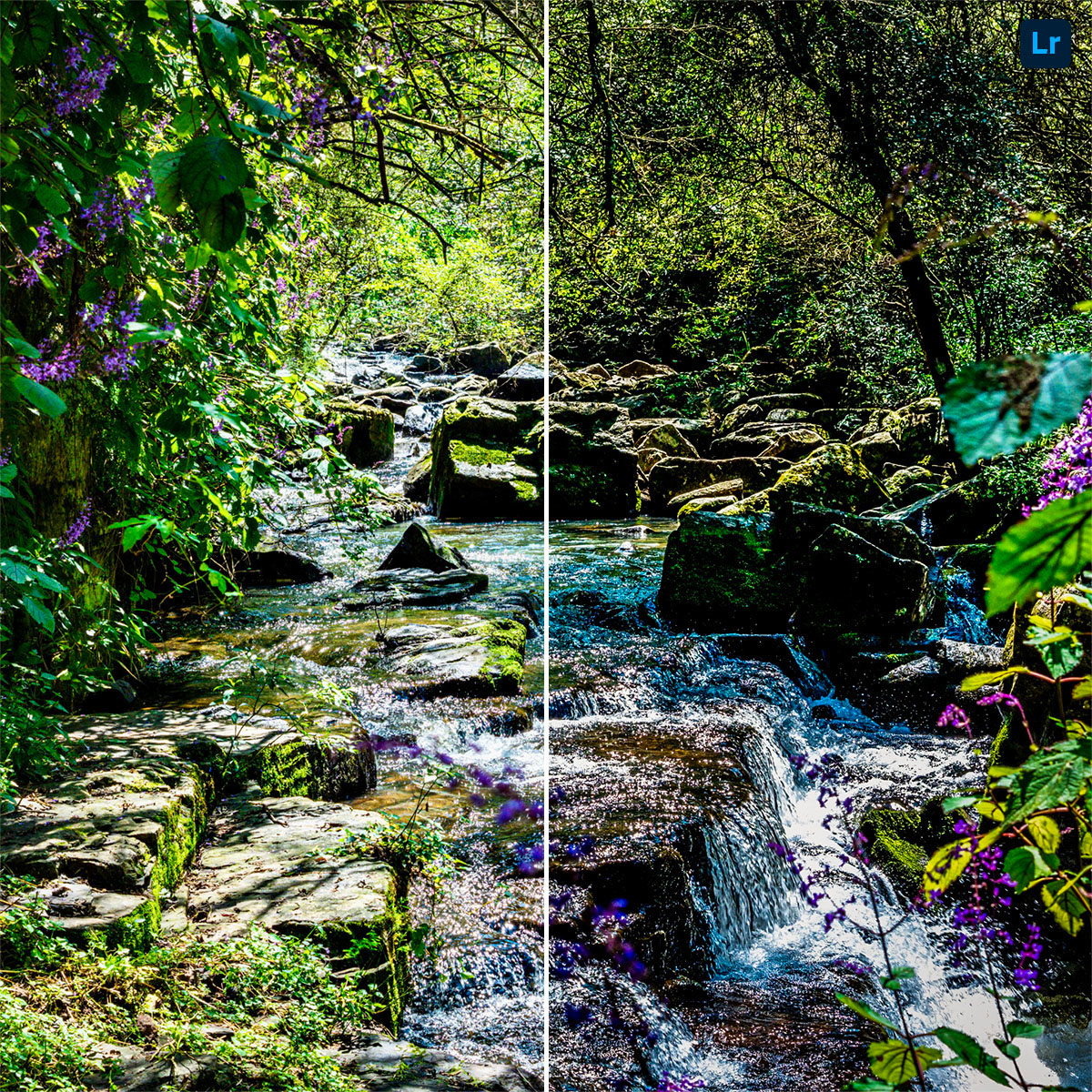 Stream | Edit | Photoshop Lightroom