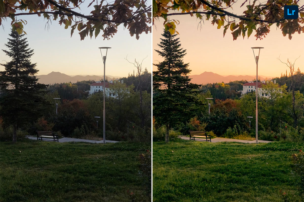 park in the morning | Edit | Photoshop Lightroom