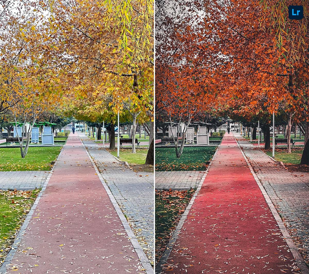 Red filter | Edit | Photoshop Lightroom