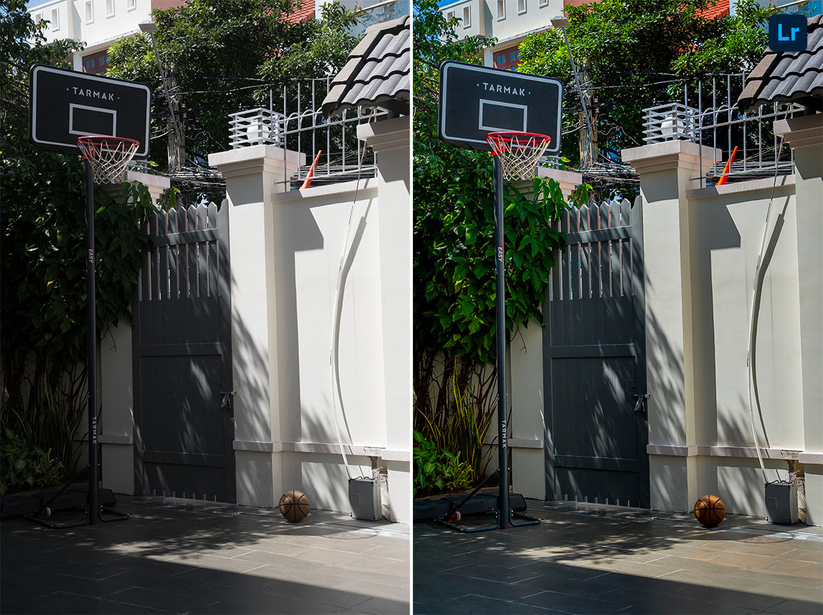 Backyard | Edit | Photoshop Lightroom