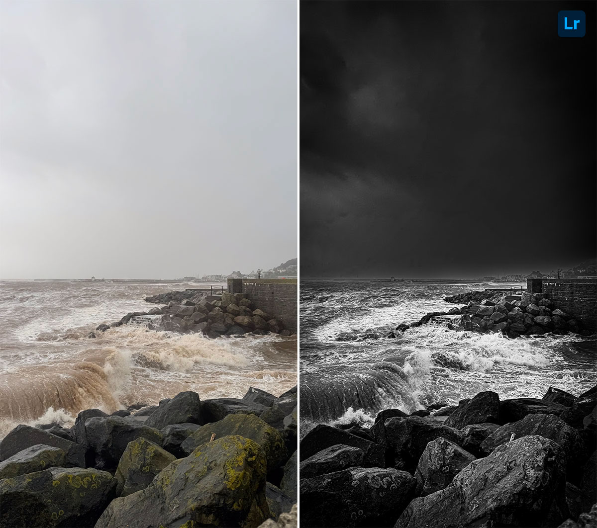 Storm Bert | Remix | Photoshop Lightroom