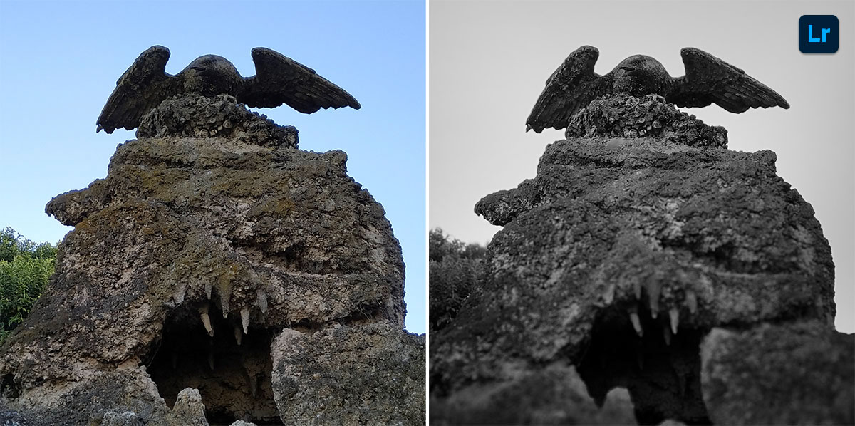 Eagle | Edit | Photoshop Lightroom
