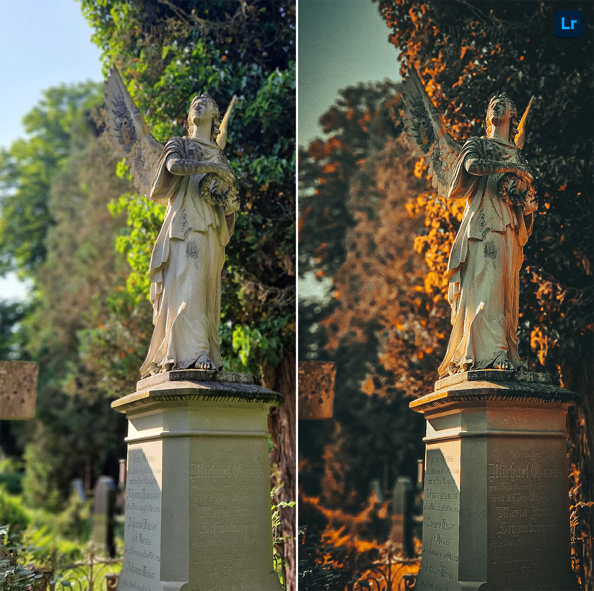 Angel | Edit | Photoshop Lightroom