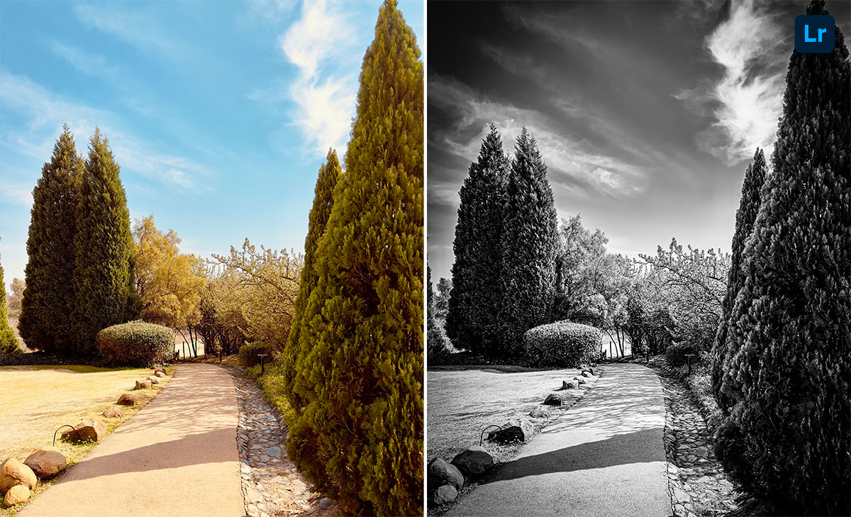 Walk | Edit | Photoshop Lightroom