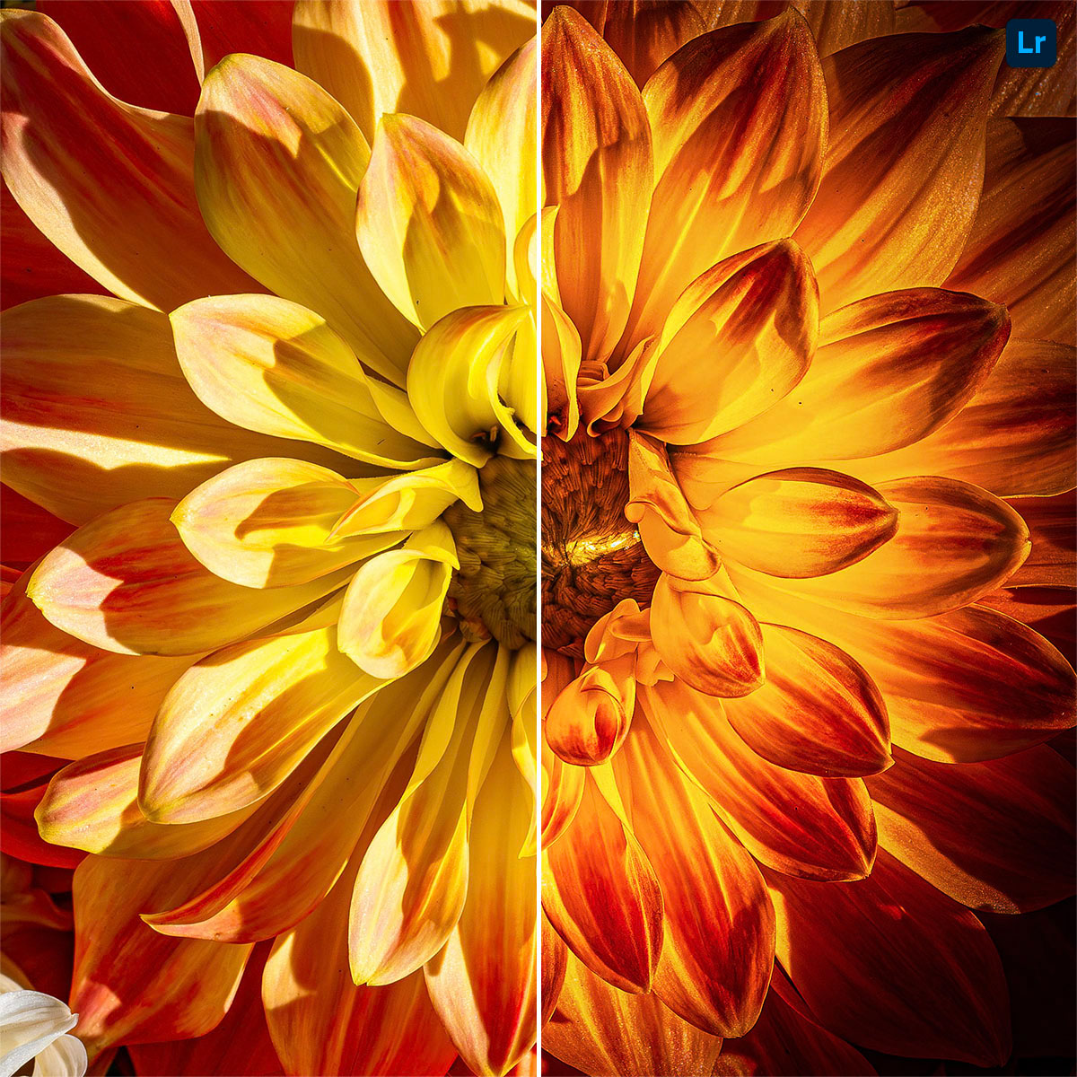 Glow | Edit | Photoshop Lightroom