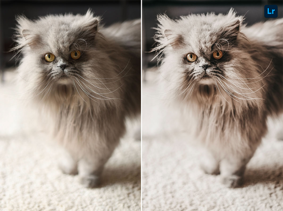 Karl | Edit | Photoshop Lightroom