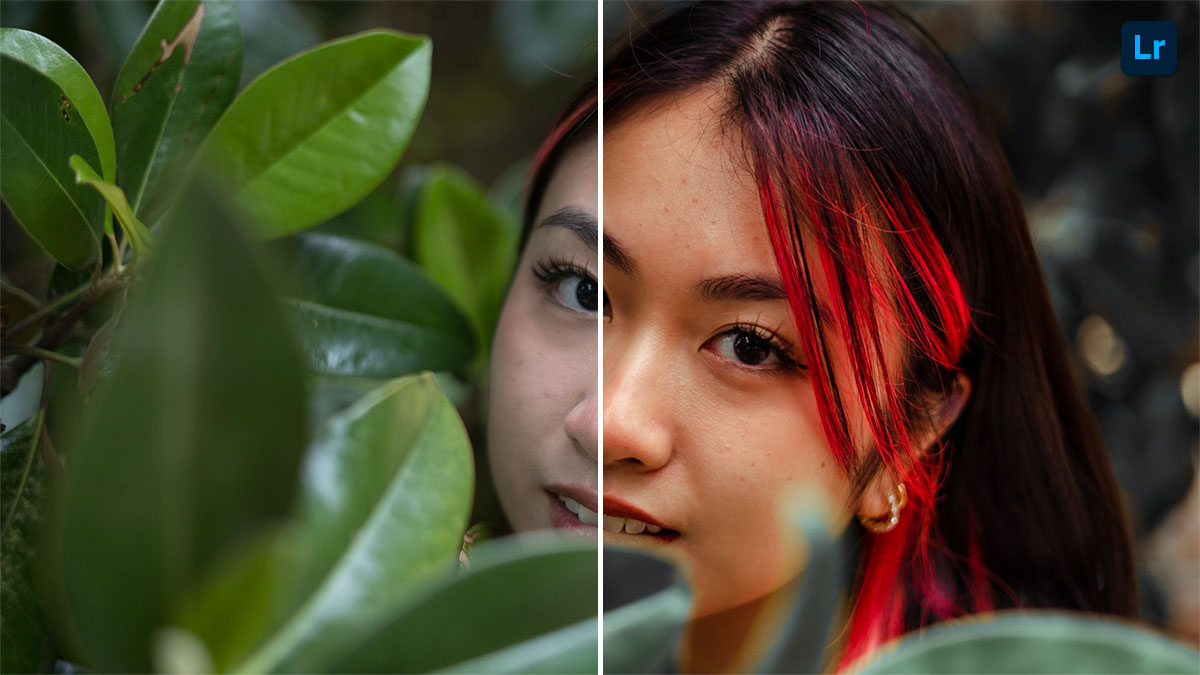Green | Edit | Photoshop Lightroom