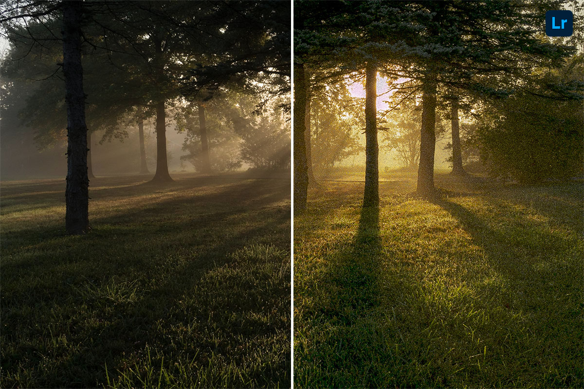 Morning Rays | Remix | Photoshop Lightroom