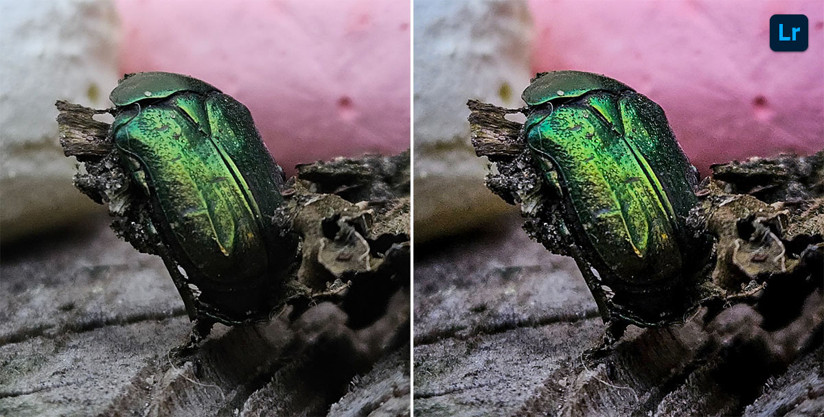 green bug | Edit | Photoshop Lightroom