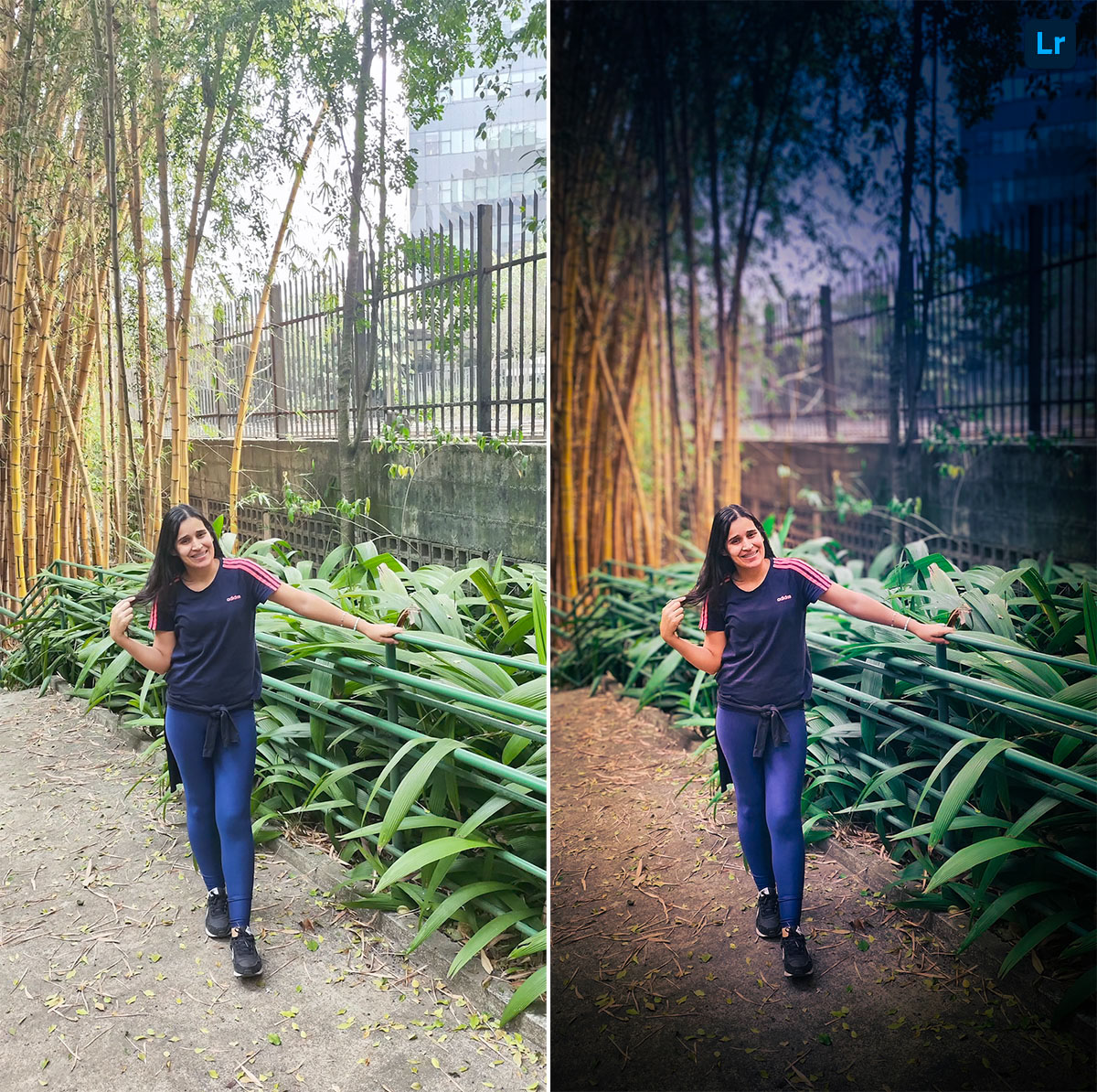 Park walk | Edit | Photoshop Lightroom
