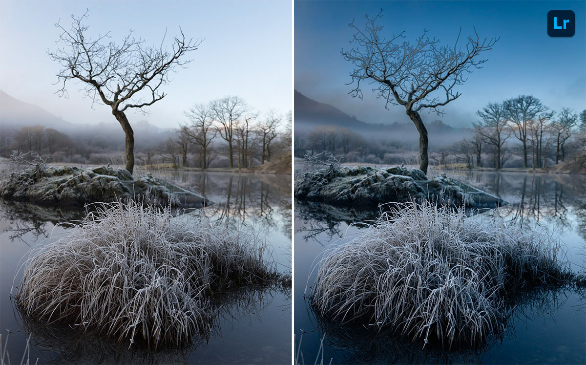 Cold morning | Remix | Photoshop Lightroom