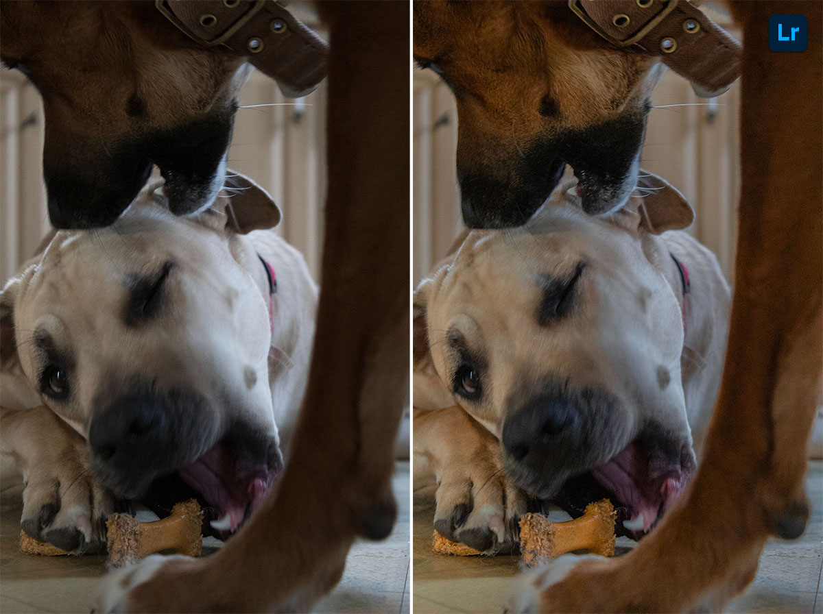 hellians! Cain and Fender Bender | Edit | Photoshop Lightroom