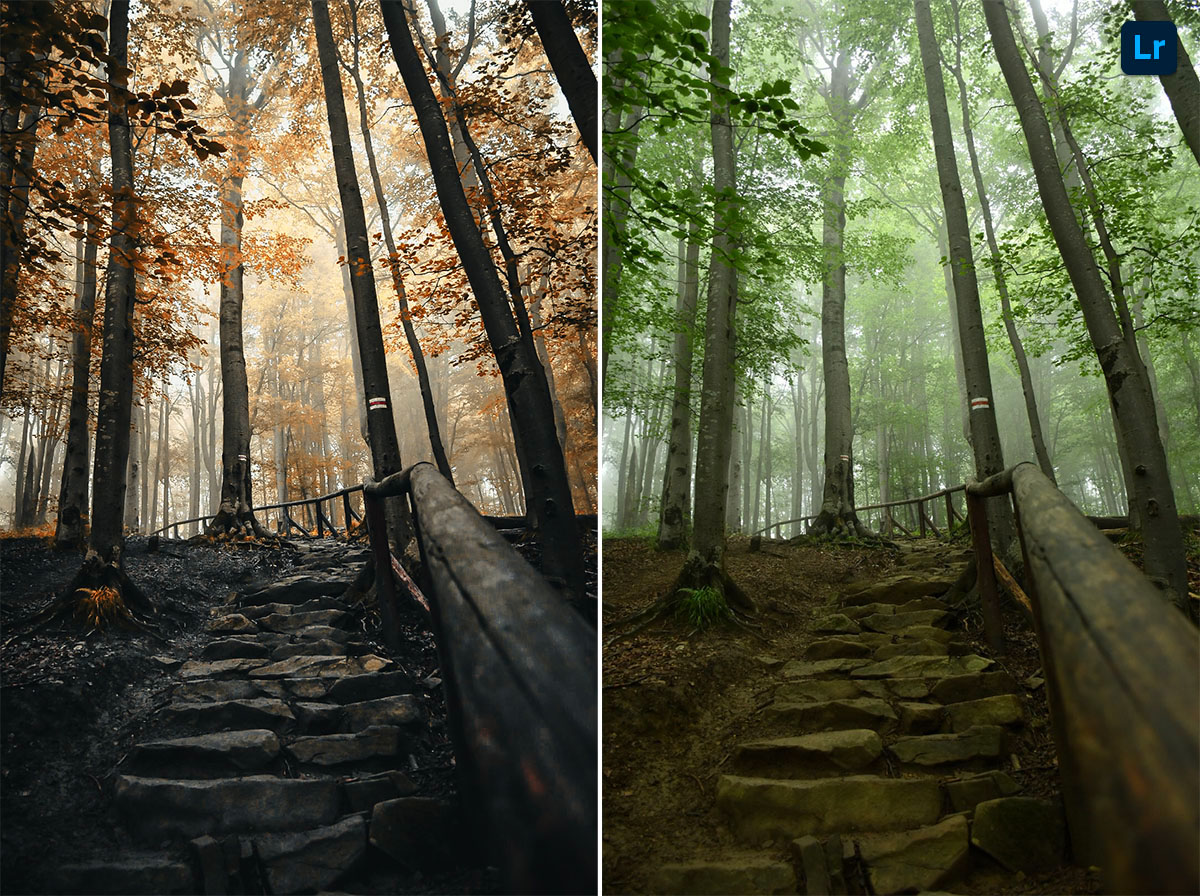 GDB | Edit | Photoshop Lightroom