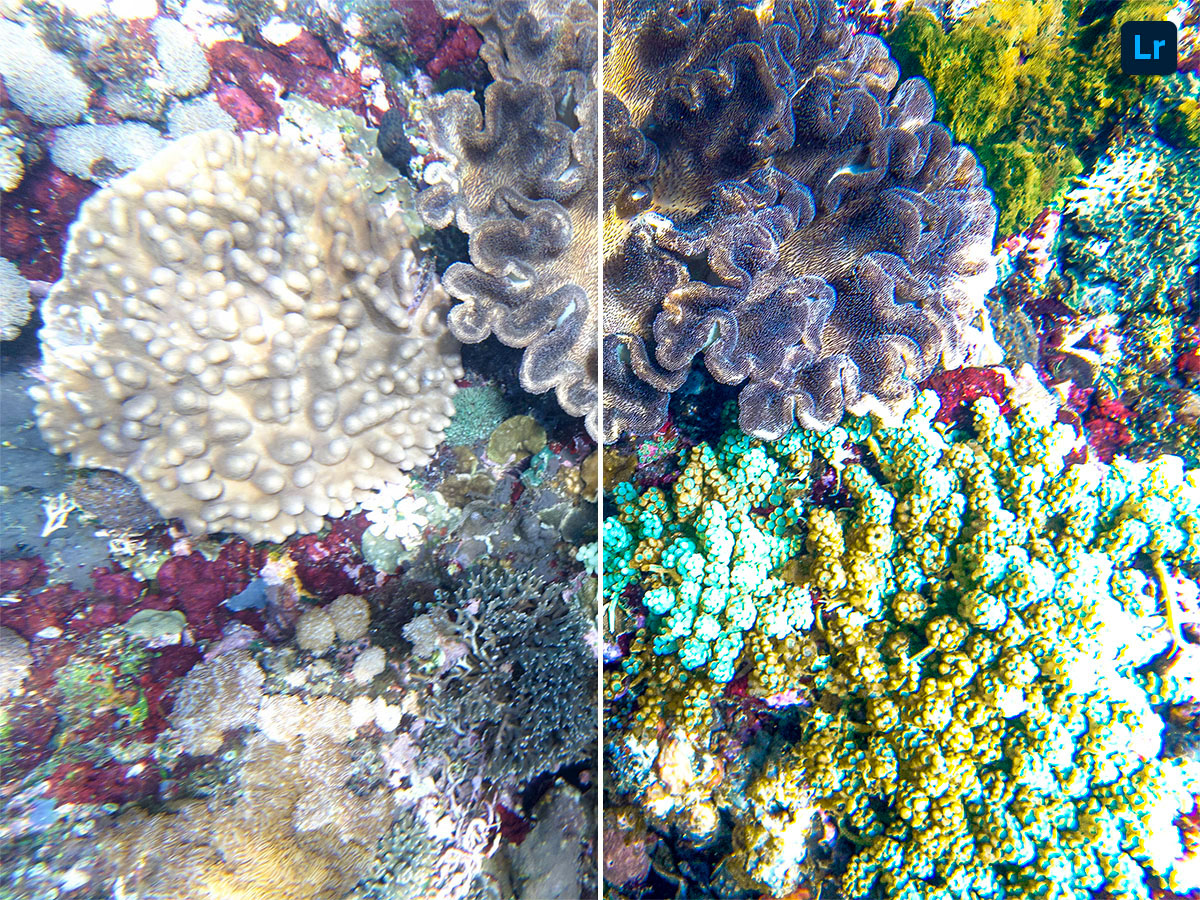 coral floor | Edit | Photoshop Lightroom