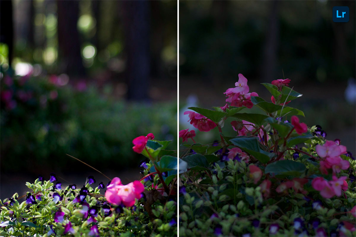 Historical Reference | Edit | Photoshop Lightroom