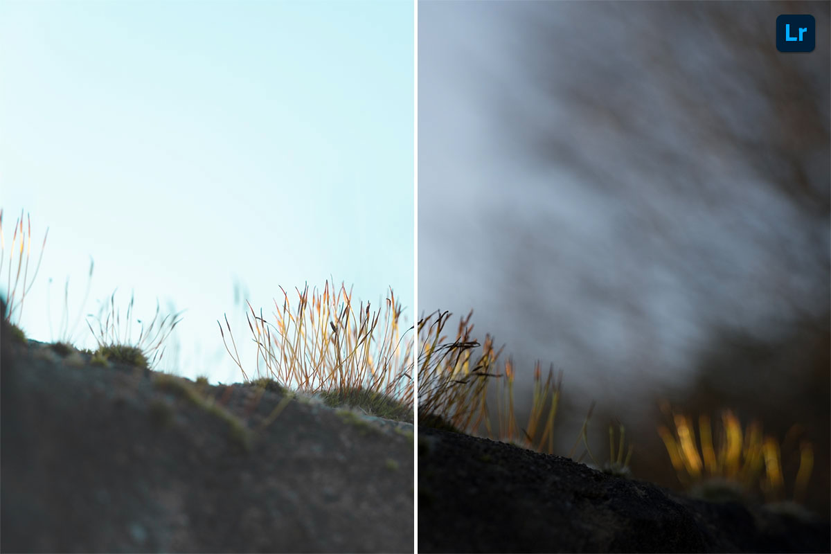 The wall | Edit | Photoshop Lightroom